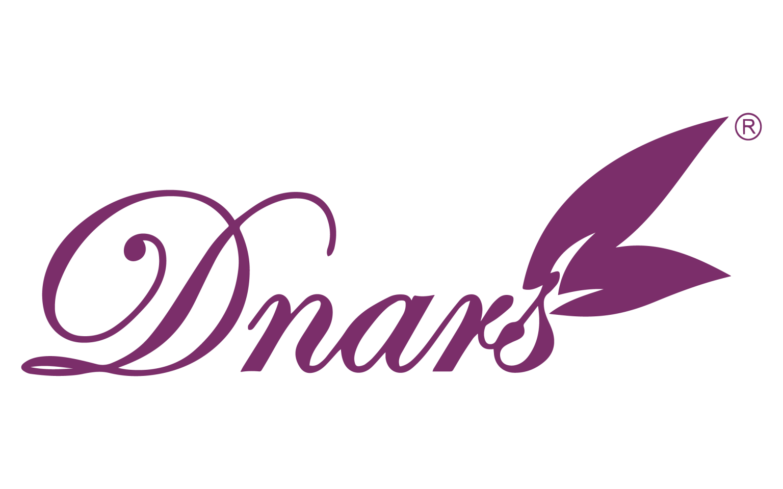 Tentang Kami - Dnars